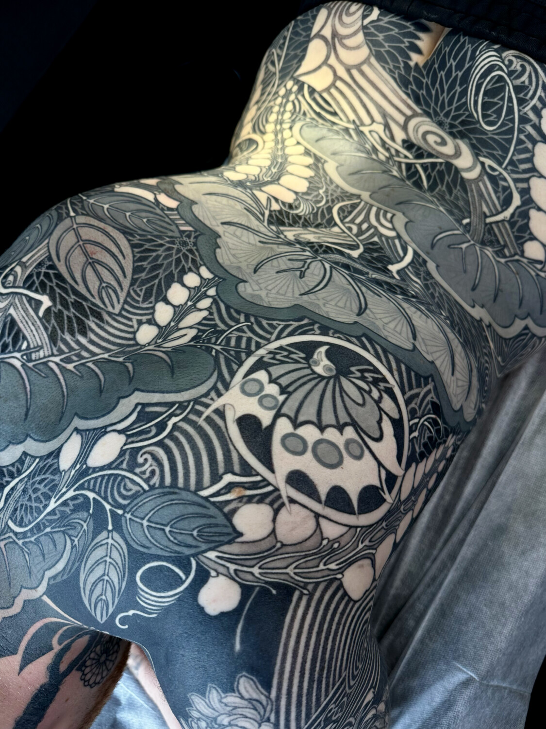 松藤揚羽長菊水 | NISSACO